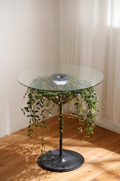 Beautiful Oasis Glass Table Features A Hanging Plant Under The Tabletop
