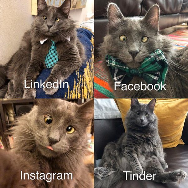 Meet Belarus The Cross-Eyed Kitten That's Got Everyone's Heart Melting