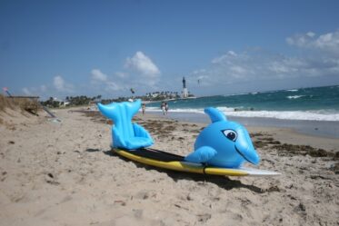 These Cute Animal-Themed Paddleboard Floats Come With A Detachable Seat