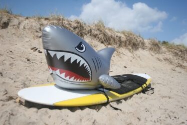 These Cute Animal-Themed Paddleboard Floats Come With A Detachable Seat