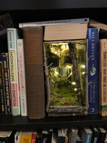 30+ Mesmerizing Bookshelf Inserts That Book Fans Will Love