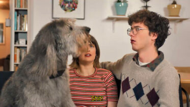 You Can Now Get Your Dog A 'Cursing Dog Collar' That Cusses Every Time ...