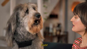 You Can Now Get Your Dog A 'Cursing Dog Collar' That Cusses Every Time ...