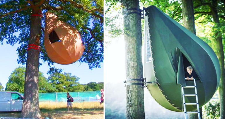 These Suspended Tree Tents Let You Camp Up In The Trees Away From The ...