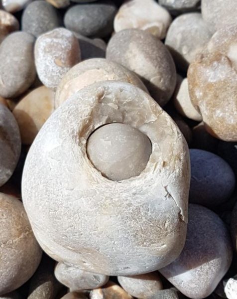 People Share The Strange Things They Found In Unexpected Places