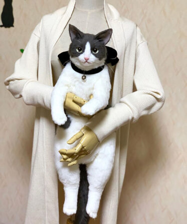 Japanese Artist Has Been Creating Cat-Shaped Bags And It's Actually ...