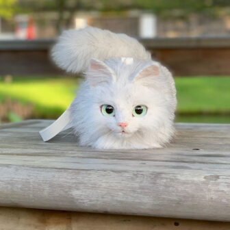 Japanese Artist Has Been Creating Cat-Shaped Bags And It's Actually ...