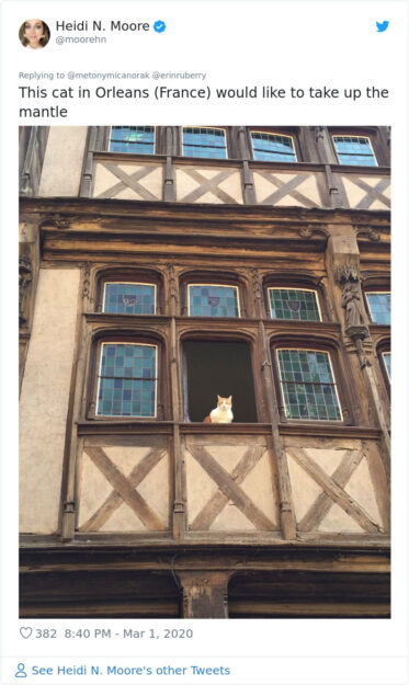 Fidel The Most Photographed Dog In Bruges Passed Away, Now People Are ...