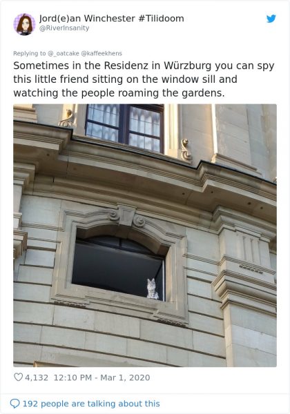 Fidel The Most Photographed Dog In Bruges Passed Away, Now People Are ...