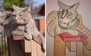 Humane Society Creates Bad Pet Drawings For $15 Donations And People ...