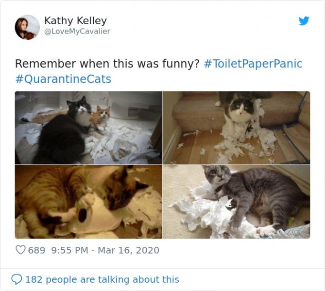 People Share Photos Of Their "Cats In Quarantine" And They'll Make Your Day