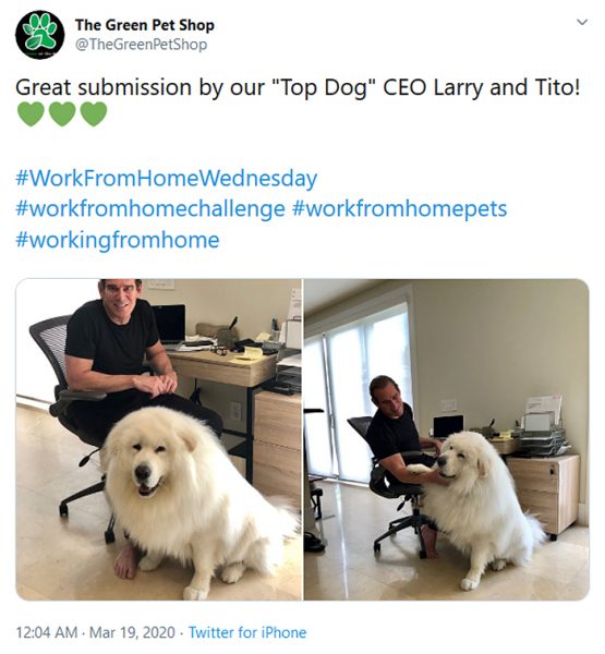 40 People Share Photos Of What It's Like Working From Home With Pets