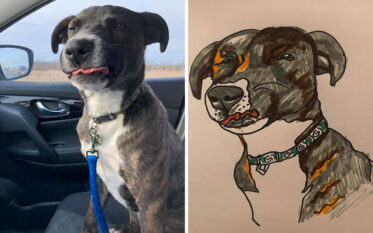 Humane Society Creates Bad Pet Drawings For $15 Donations And People ...