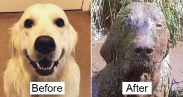People Are Sharing Hilarious Photos That Show The Aftermath Of Letting ...