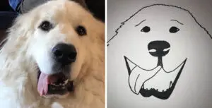 Humane Society Creates Bad Pet Drawings For $15 Donations And People ...