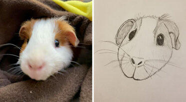 Humane Society Creates Bad Pet Drawings For $15 Donations And People ...