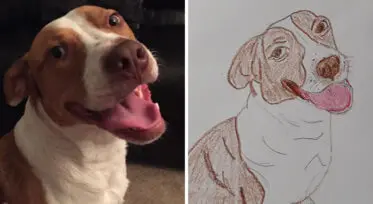 Humane Society Creates Bad Pet Drawings For $15 Donations And People ...