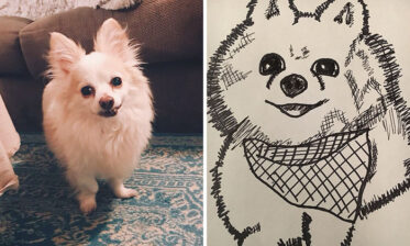 Humane Society Creates Bad Pet Drawings For $15 Donations And People ...