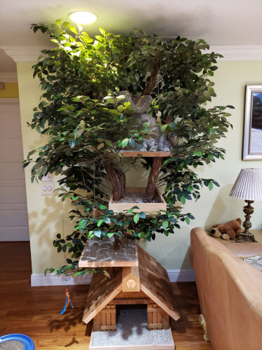 You Can Get Your Indoor Cat A Treehouse Made With Real Trees So They ...