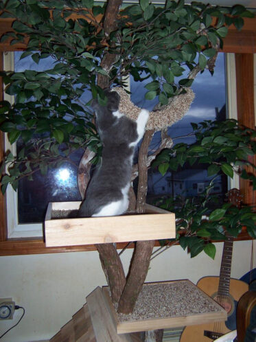 You Can Get Your Indoor Cat A Treehouse Made With Real Trees So They ...