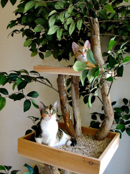 You Can Get Your Indoor Cat A Treehouse Made With Real Trees So They ...
