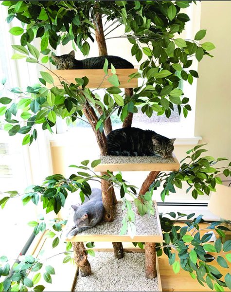 You Can Get Your Indoor Cat A Treehouse Made With Real Trees So They ...