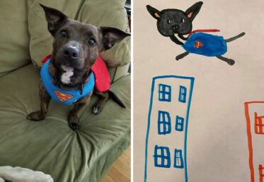 Humane Society Creates Bad Pet Drawings For $15 Donations And People ...