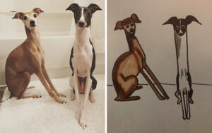 Humane Society Creates Bad Pet Drawings For $15 Donations And People ...