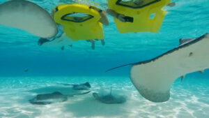 The "Zayak Sea Sled" Has A Built-In Window So You Can Explore ...