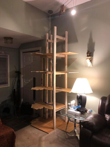 Rob Built Two Kitty Towers For His Cats And Now People Want The ...