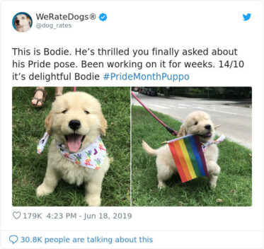 "We Rate Dogs" Is A Twitter Account That People Ask To Rate Their Pups