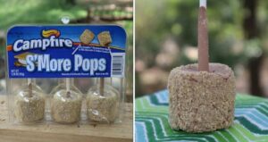 Campfire S’More Pops Have All The Gooey Goodness Without The Added Effort