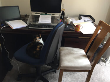 People Are Sharing Funny Pictures Of Their New “Co-Workers” While ...