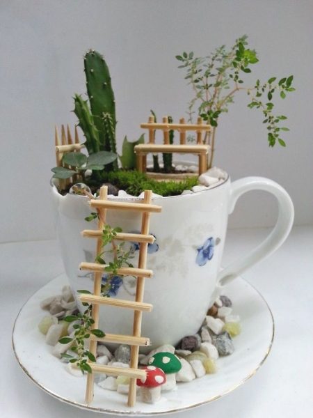Teacup Gardens Are Becoming A Cute Trend - Here Are 20 Adorable Examples
