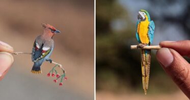 These Artists Are Making Miniature Paper Birds Every Day For A Year