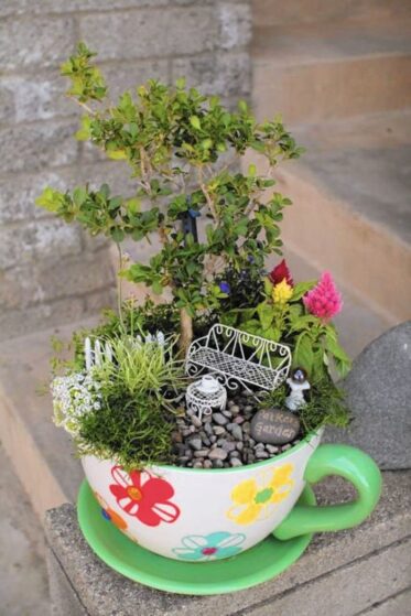 Teacup Gardens Are Becoming A Cute Trend - Here Are 20 Adorable Examples