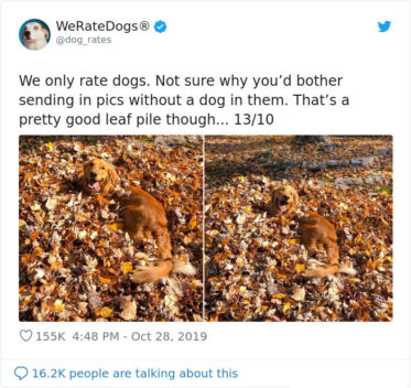 "We Rate Dogs" Is A Twitter Account That People Ask To Rate Their Pups