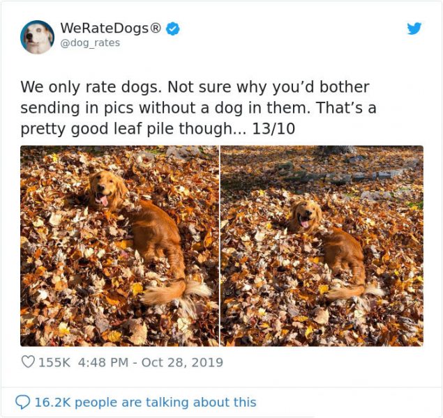 "We Rate Dogs" Is A Twitter Account That People Ask To Rate Their Pups