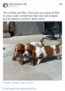 "We Rate Dogs" Is A Twitter Account That People Ask To Rate Their Pups