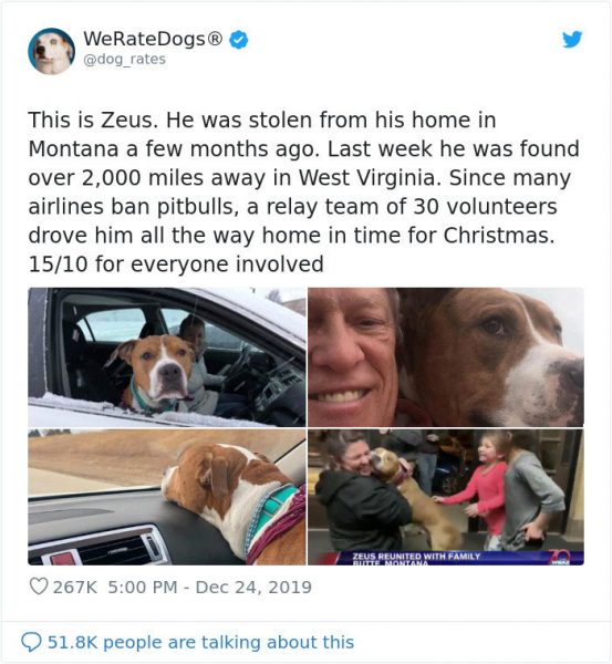 "We Rate Dogs" Is A Twitter Account That People Ask To Rate Their Pups