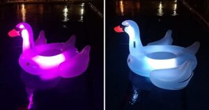 You Can Get A Light-Up Swan Pool Float To Make Nighttime Swimming A Lot ...