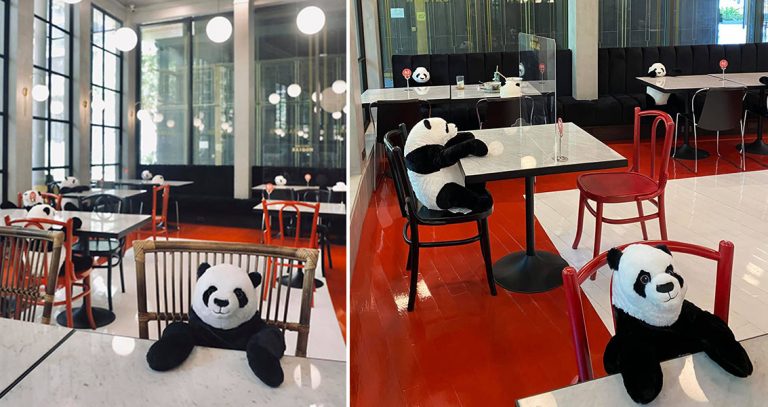 This Restaurant Uses Toy Pandas To Help Separate Their Customers ...