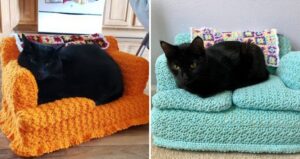 Alessandra Documents The Carefree Life Of Her Adorable Cat "Grisu" And ...