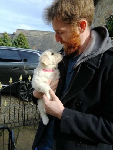 40 Heartwarming Pics Of Pets Lovingly Staring At Their Owners That Will ...