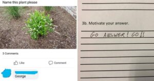 40 Times People Took The Task Literally And The Results Were Hilarious