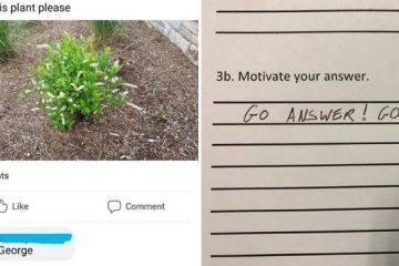 People Share Math Fails They've Seen Where ‘They Clearly Didn’t Do The ...