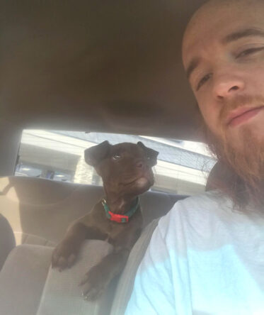 40 Heartwarming Pics Of Pets Lovingly Staring At Their Owners That Will ...