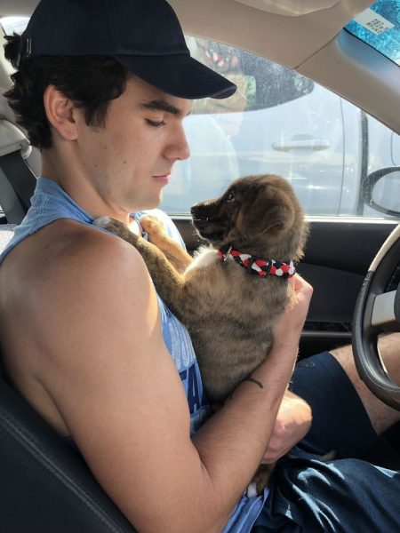 40 Heartwarming Pics Of Pets Lovingly Staring At Their Owners That Will ...