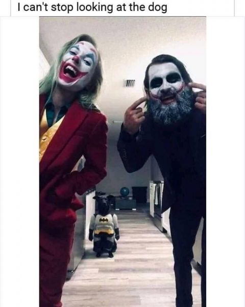 40 Funny Dog Posts That Will Definitely Put A Smile On Your Face