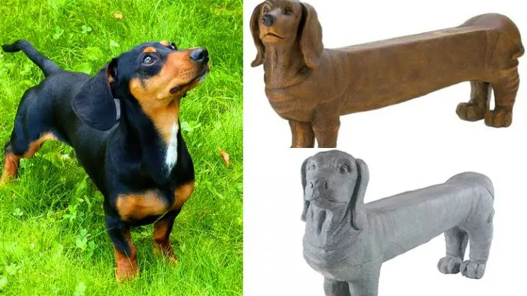 These Dachshund Garden Benches Are Every Sausage Dog Lovers Dream Addition